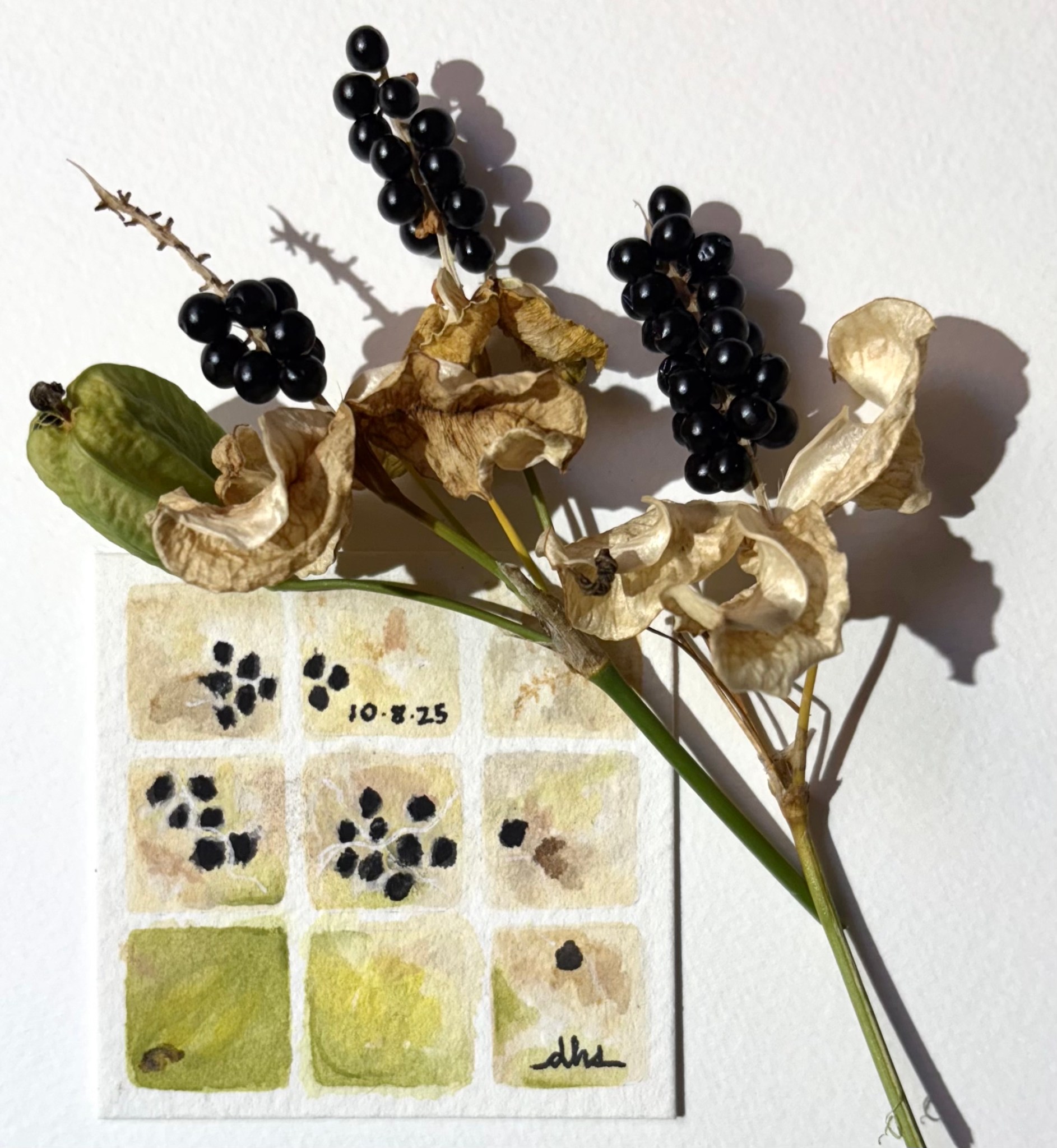 dotty seiter: now playing: In This World / November 26, 2025