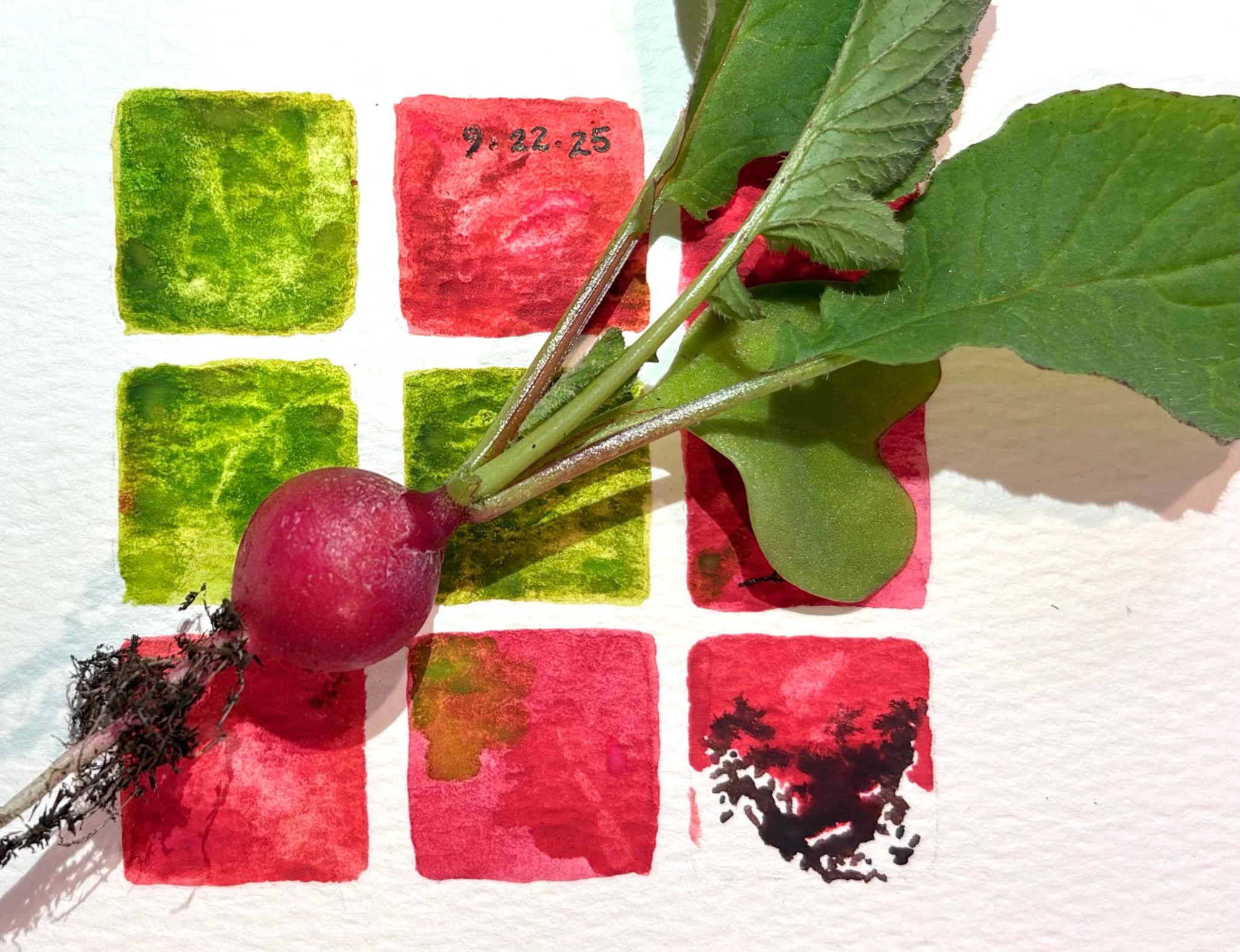 dotty seiter: now playing: Hiking Beside, Not Kayaking In / November 17 ...