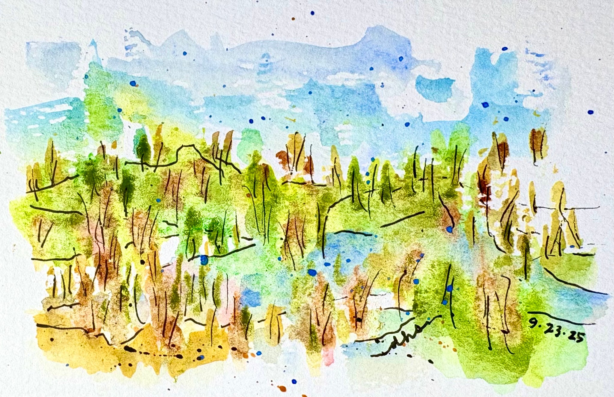 dotty seiter: now playing: Tail End of Vacation / November 19, 2025